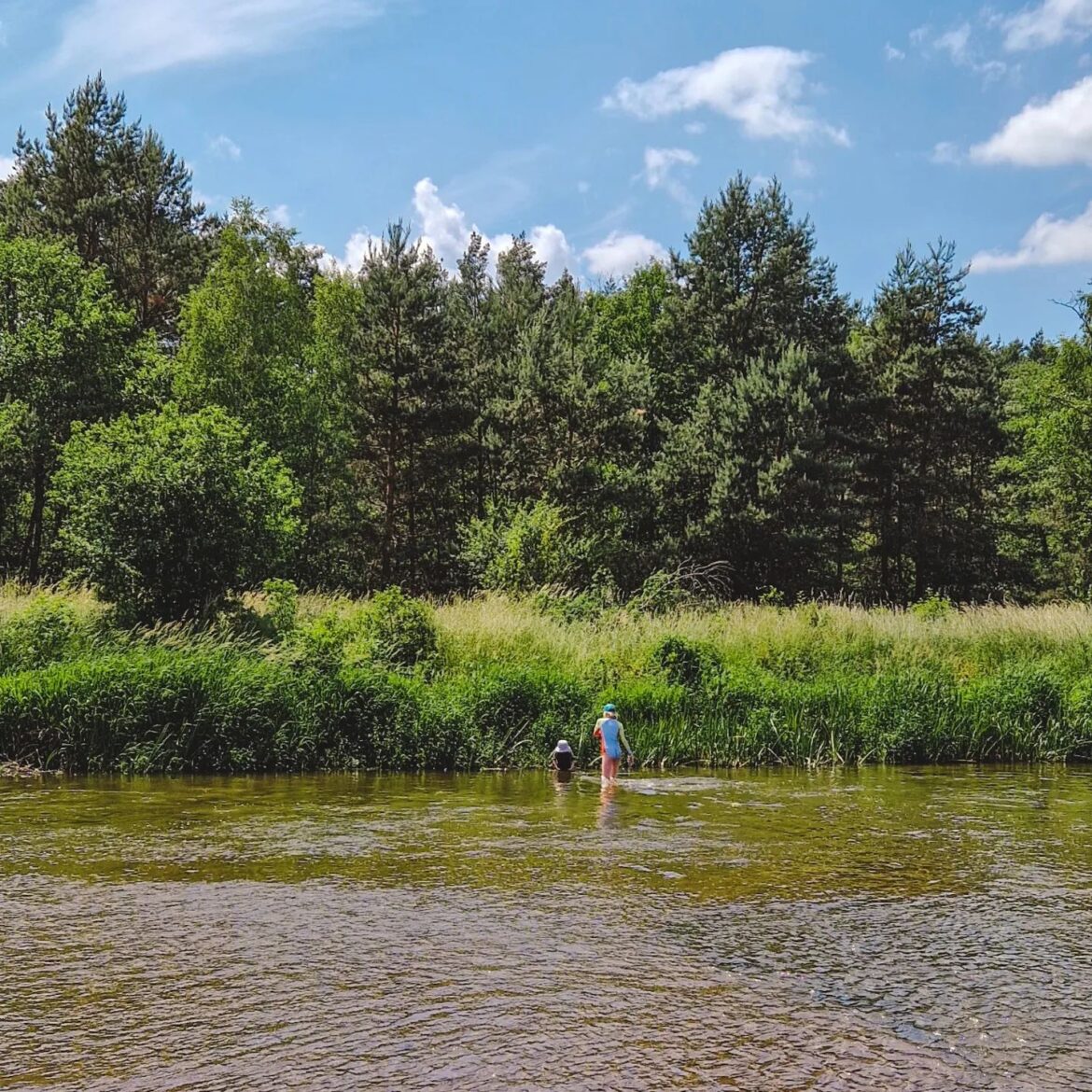 Plaża nad Liwcem w Barchowie - mikrowyprawy z Warszawy